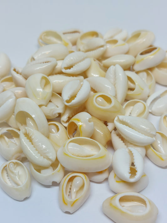 Schelpen – Uniquecraftsandmore